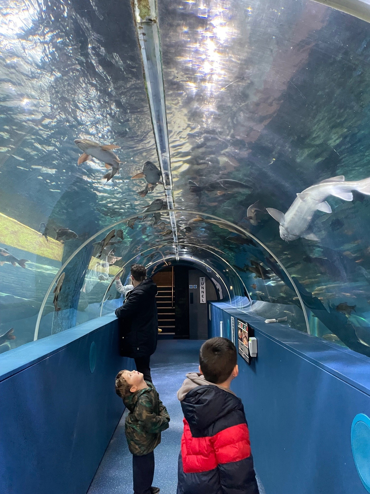 Kids Rainy Day Activities in the Lake District – The Pheasant Lodge